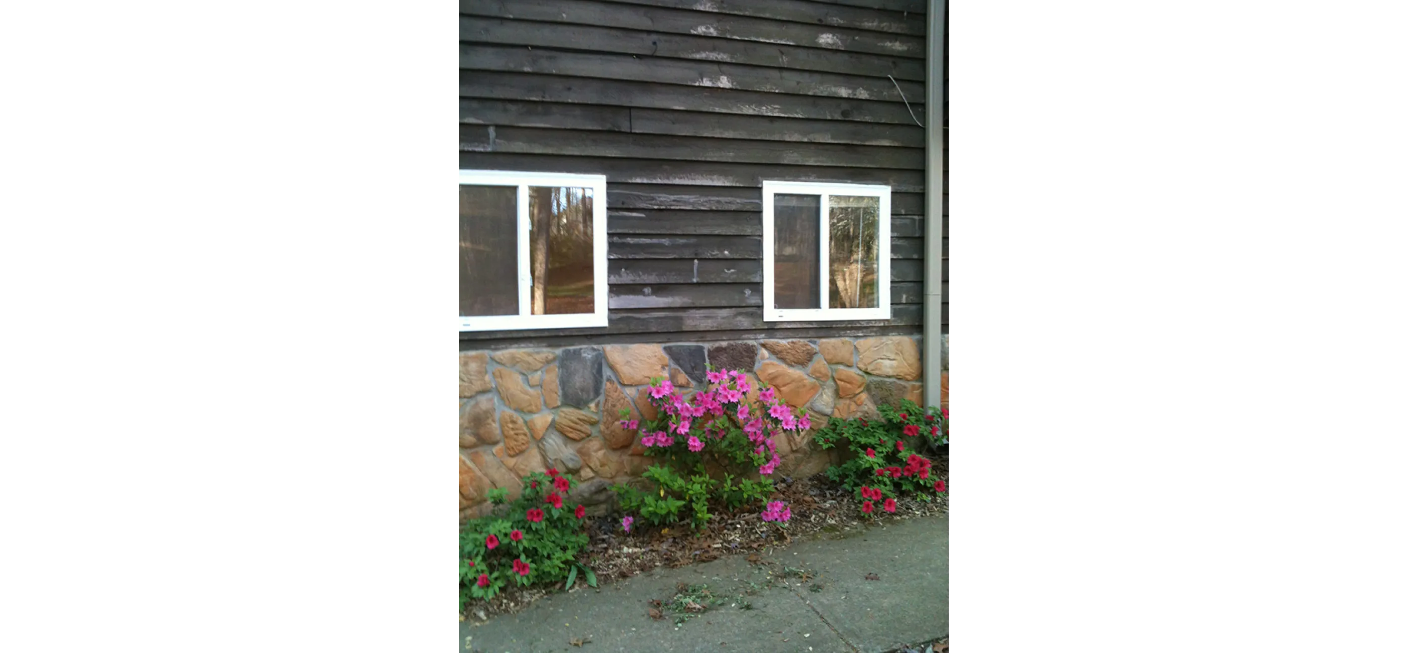 Explore Window Styles and Options for Your Home