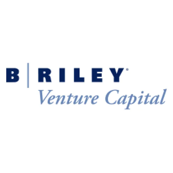 B. Riley Financial | Diversified Financial Services Platform