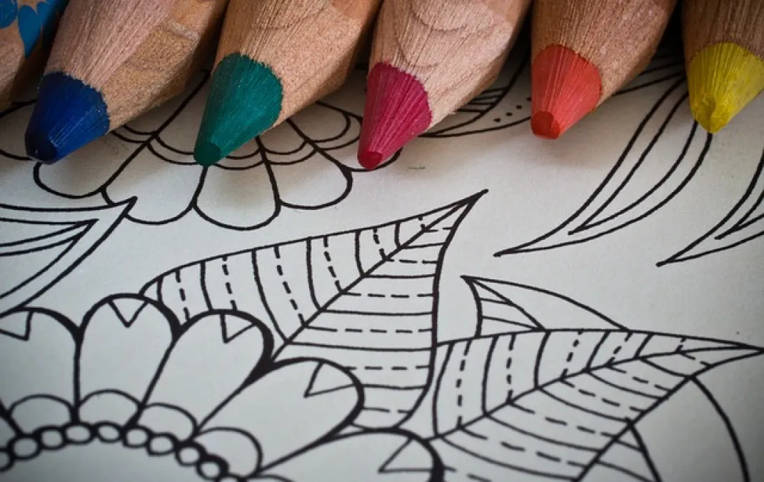 Coloring Book Printing Service| Top Quality Guaranteed