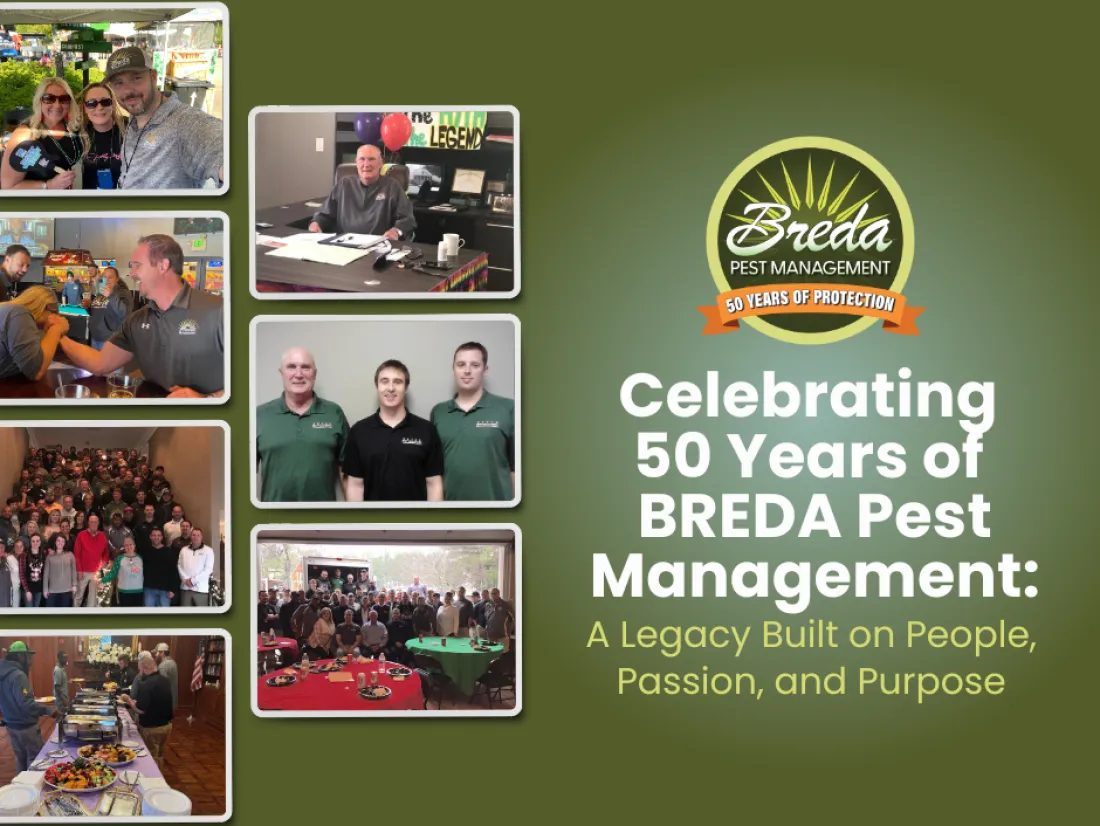 Blog | Breda Pest Management