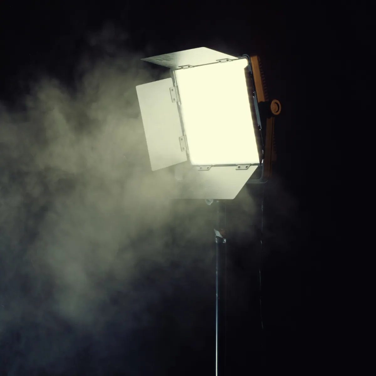 New Management Signing | Electra Star Management