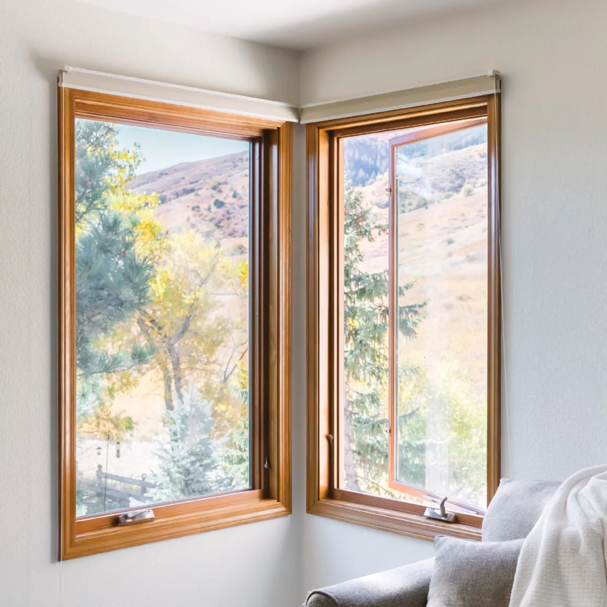 Solar Control Replacement Windows | North Georgia Replacement Windows