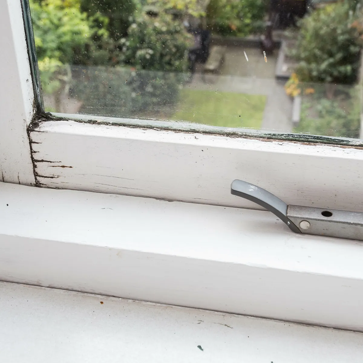 My Windows Have Developed Wood Rot⎯Now What? | North Georgia ...