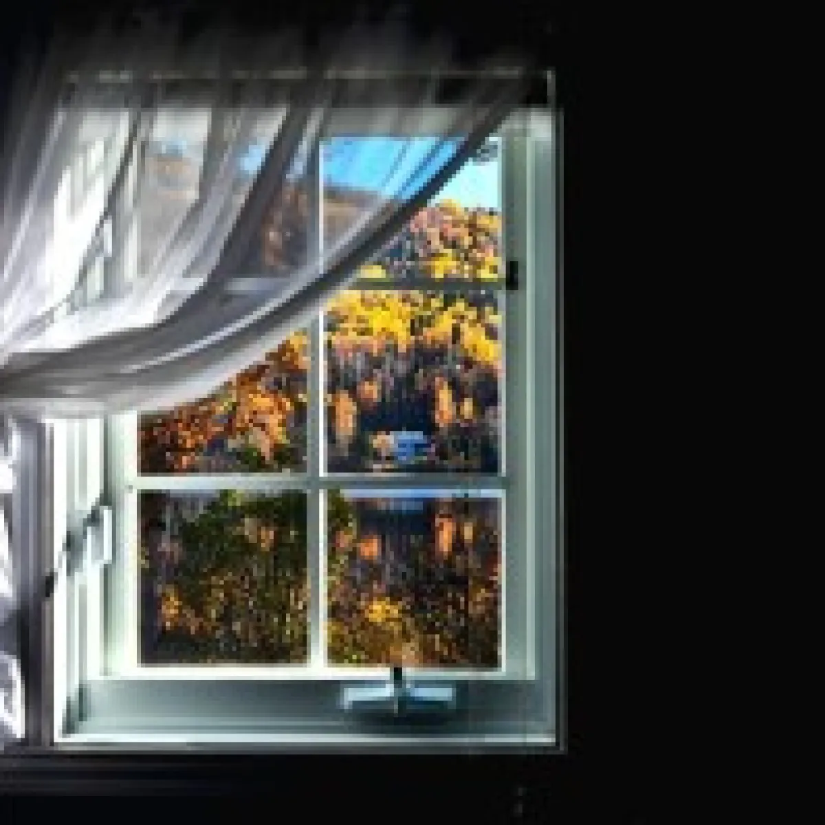 Five Reasons To Replace Your Windows This Fall | North Georgia ...