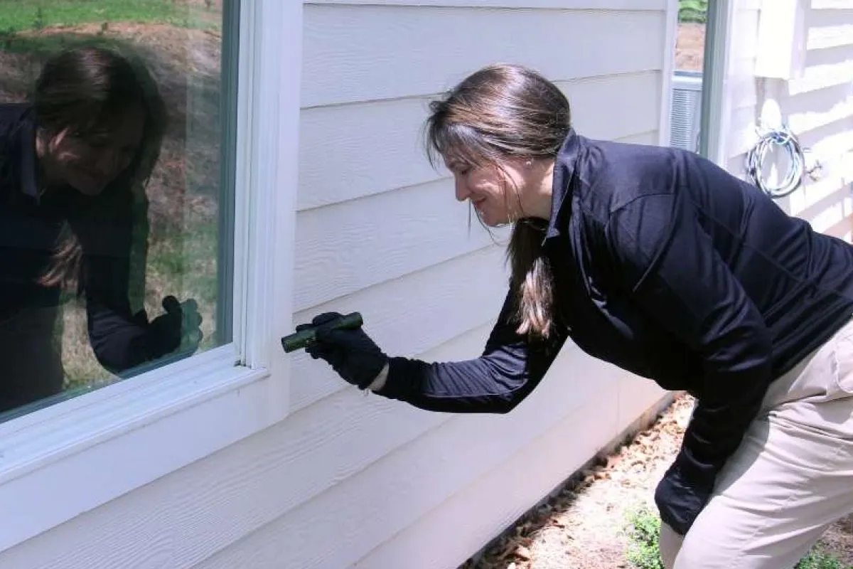 Effective Termite Control Services in Murrells Inlet | Palmetto ...