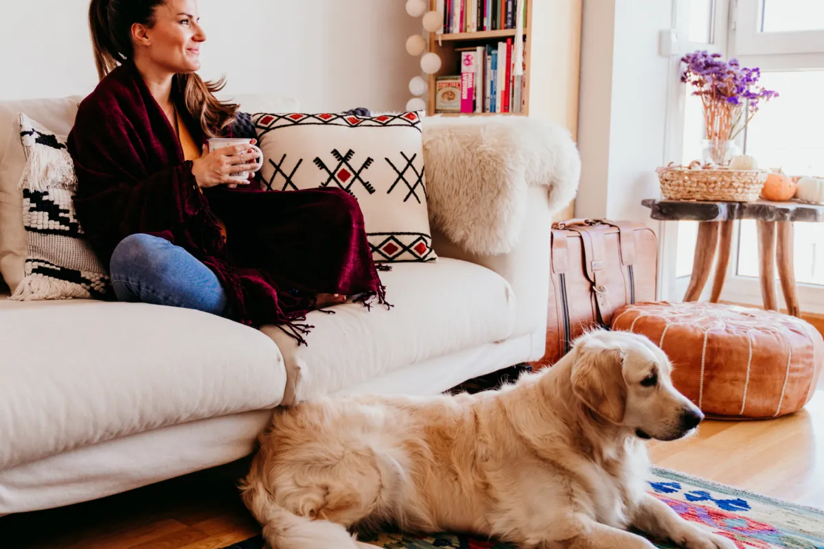 Pest Control Arlington Pestnow Pestnow
