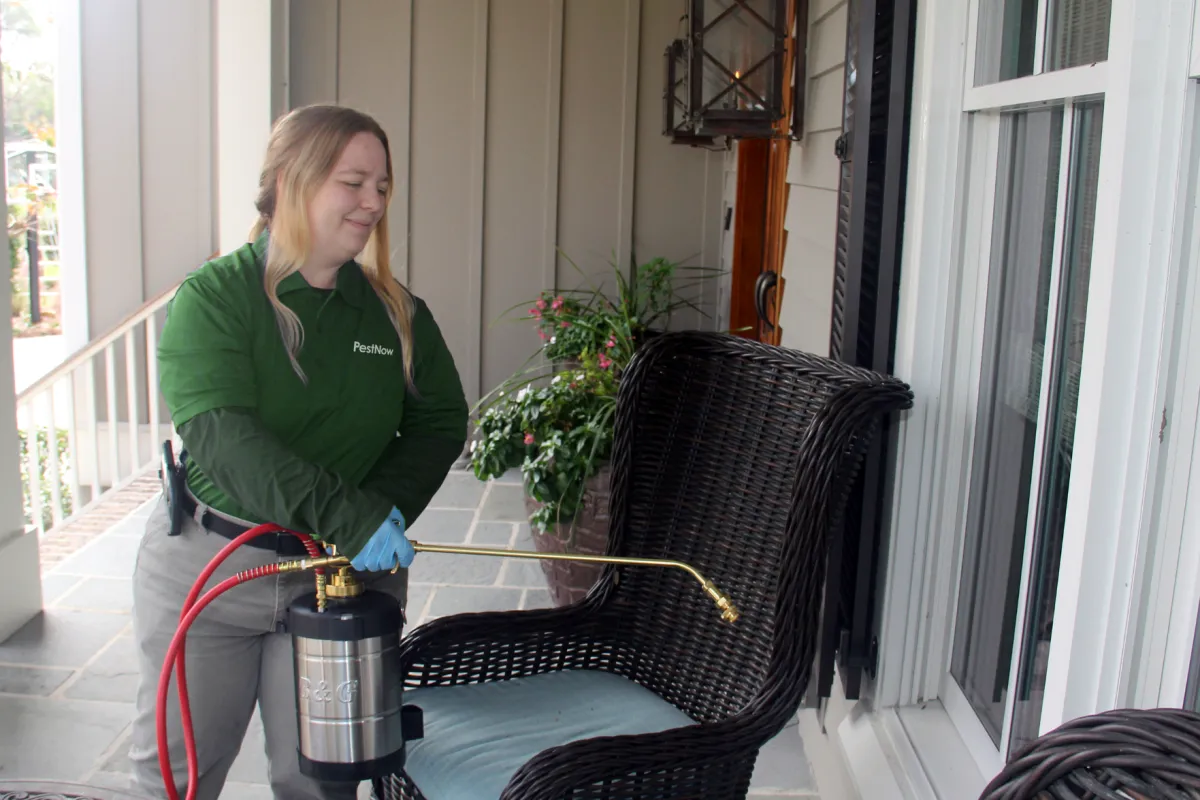 Pest Control Culpeper Va Pestnow Pestnow