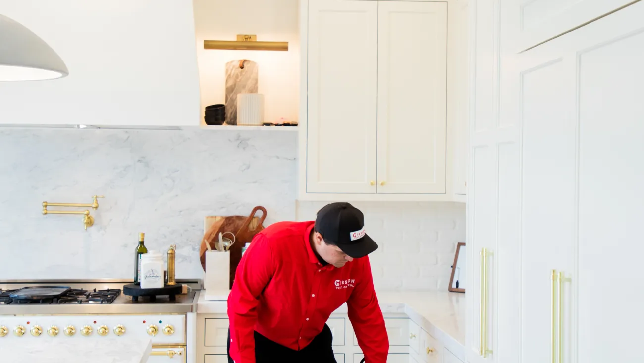 Pest Control San Diego | Mission Pest Control