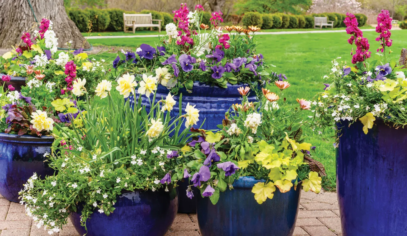 50+ Ways to Save Water in Your Garden | Armstrong Garden Centers