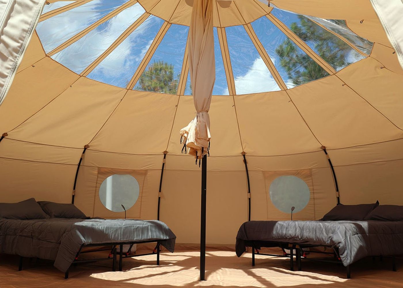 What's New | Texas Renaissance Festival