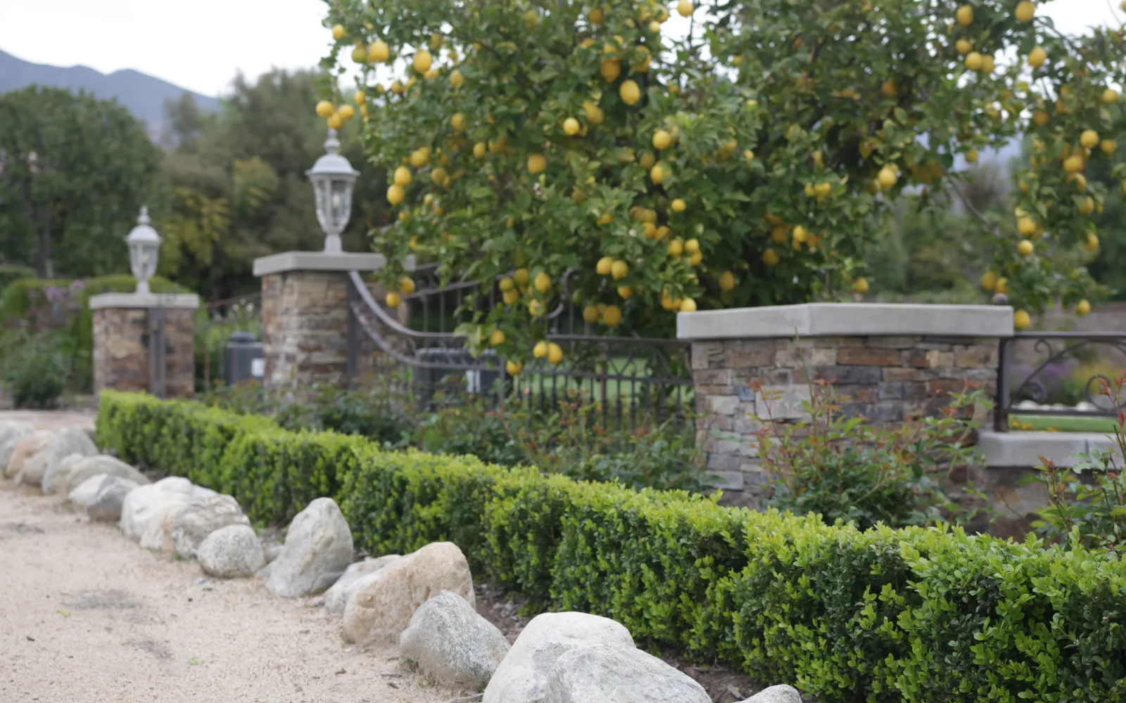 Landscape Design Services | Armstrong Garden Centers