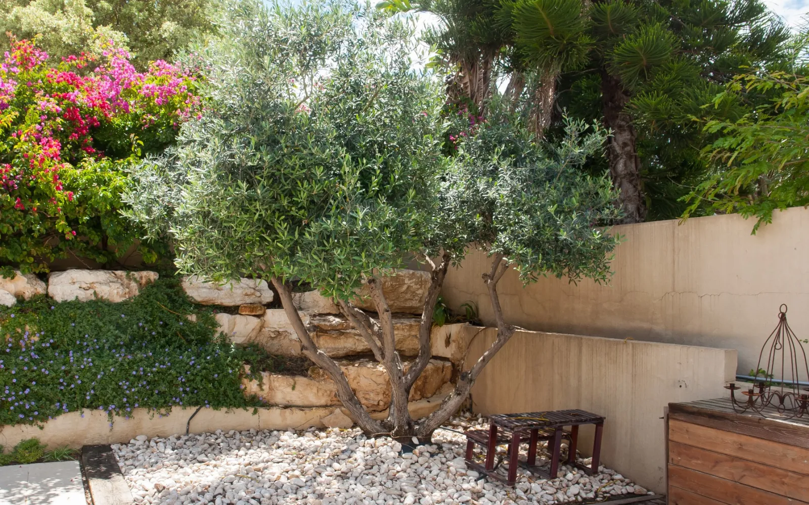 Waterwise Landscapes | Armstrong Garden Centers