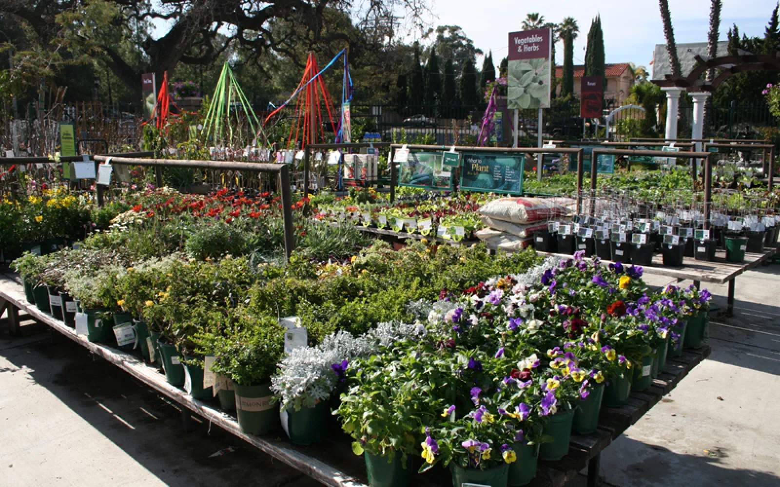 Armstrong Nursery Thousand Oaks