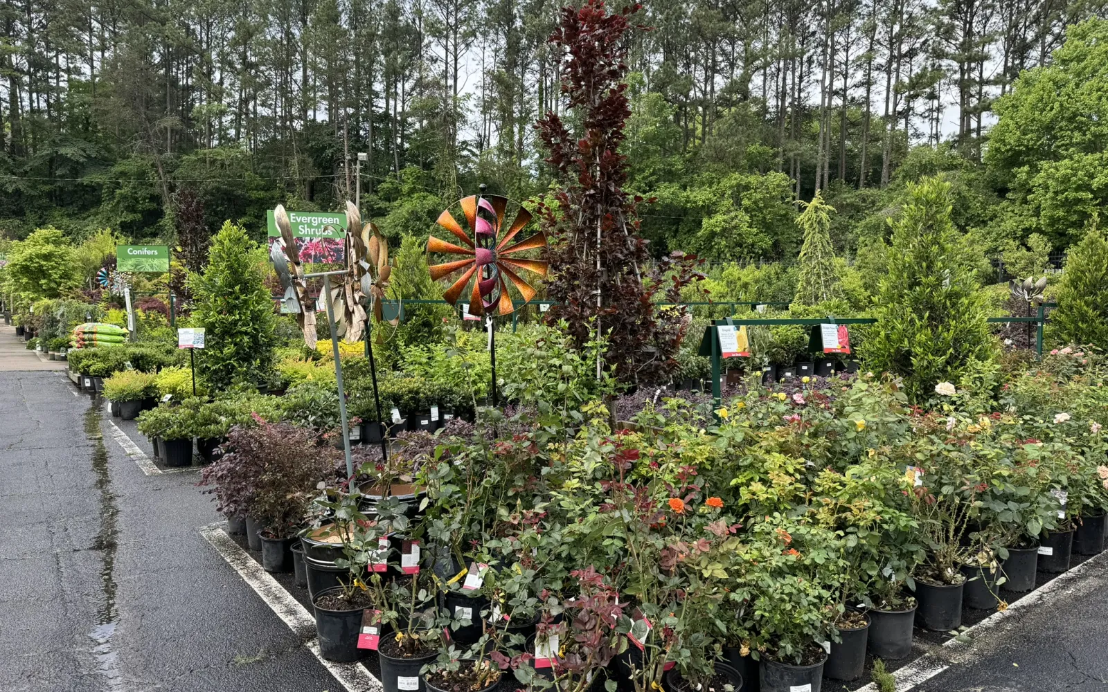 Pike Nurseries Garden Center & Landscape Design Toco Hills, Atlanta, GA ...