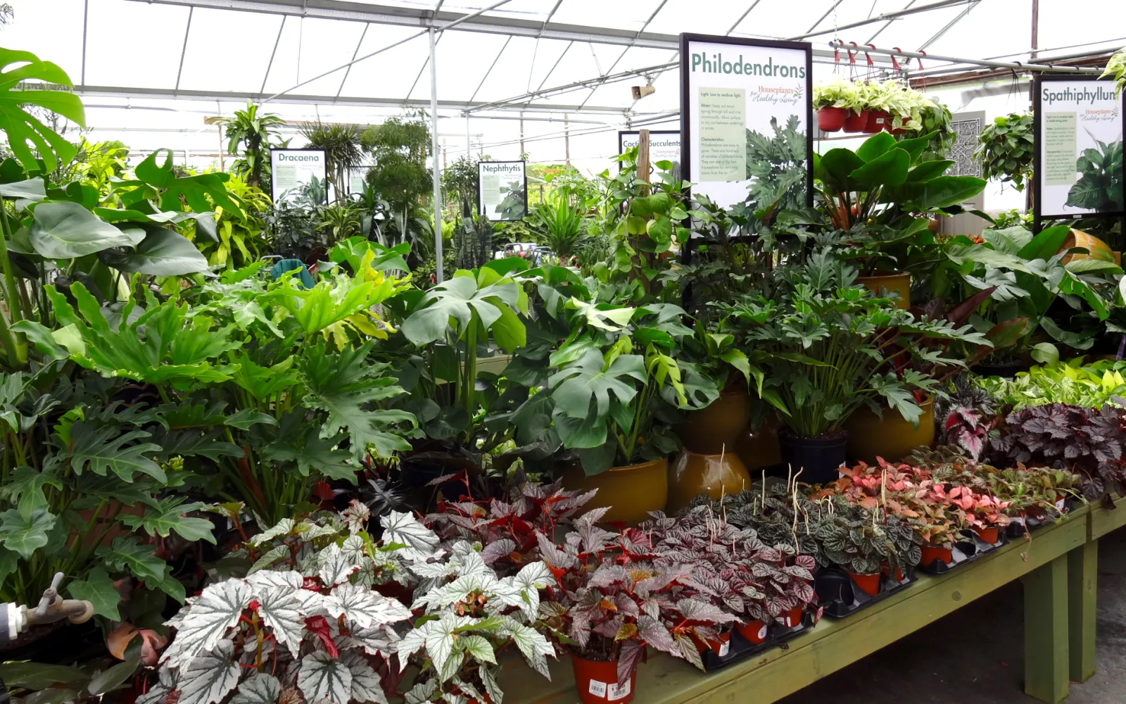 Pike Nurseries Garden Center & Landscape Design Towne Lake, Woodstock ...