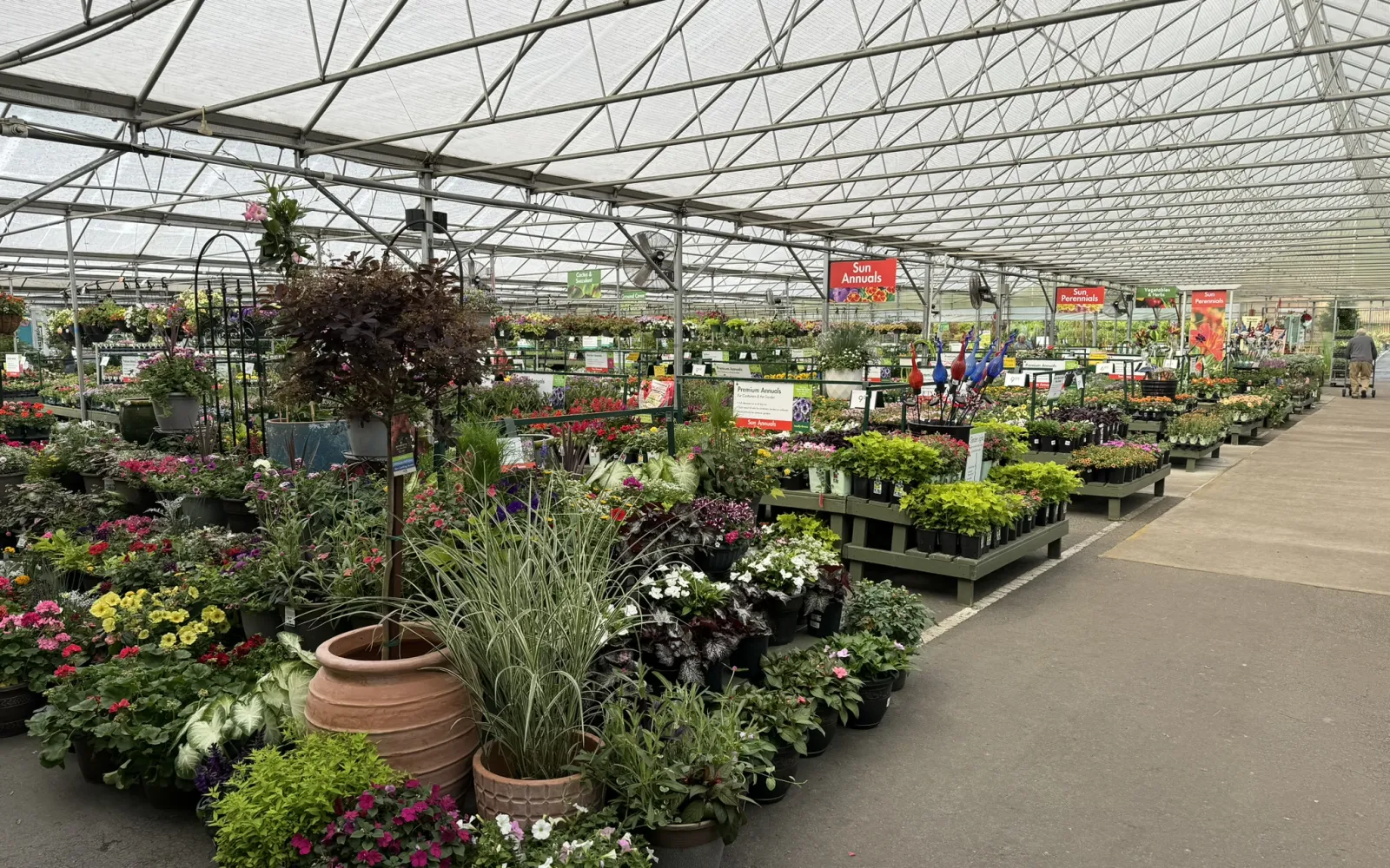 Pike Nurseries Garden Center & Landscape Design Toco Hills, Atlanta, GA ...