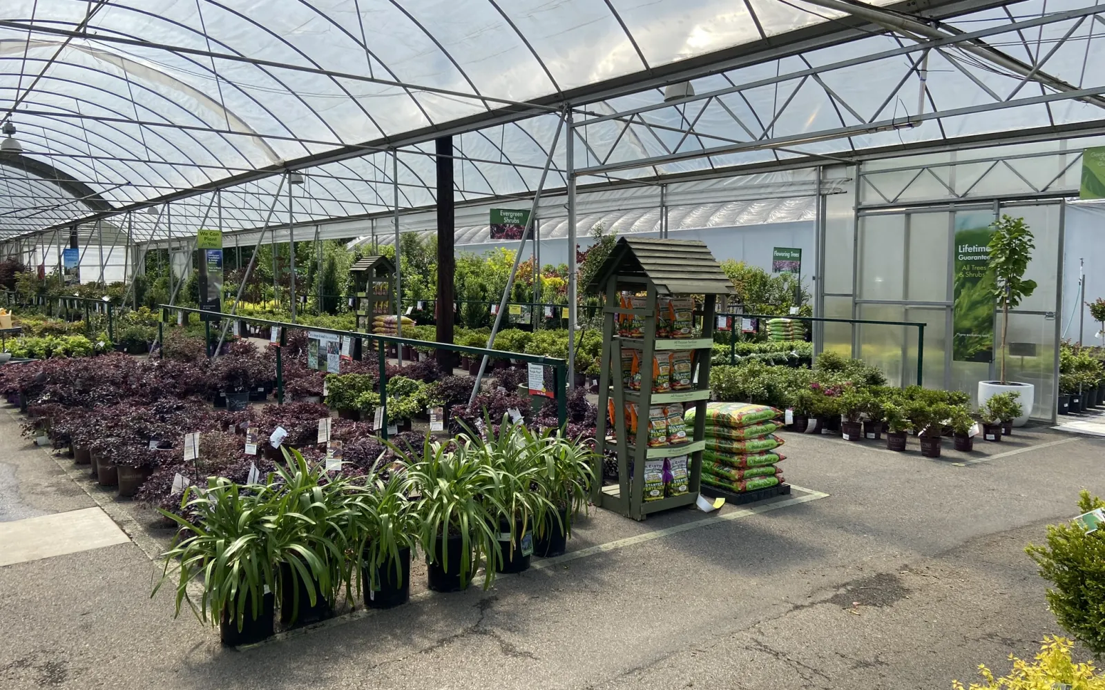 Pike Nurseries Garden Center & Landscape Design Marietta, GA | Pike ...