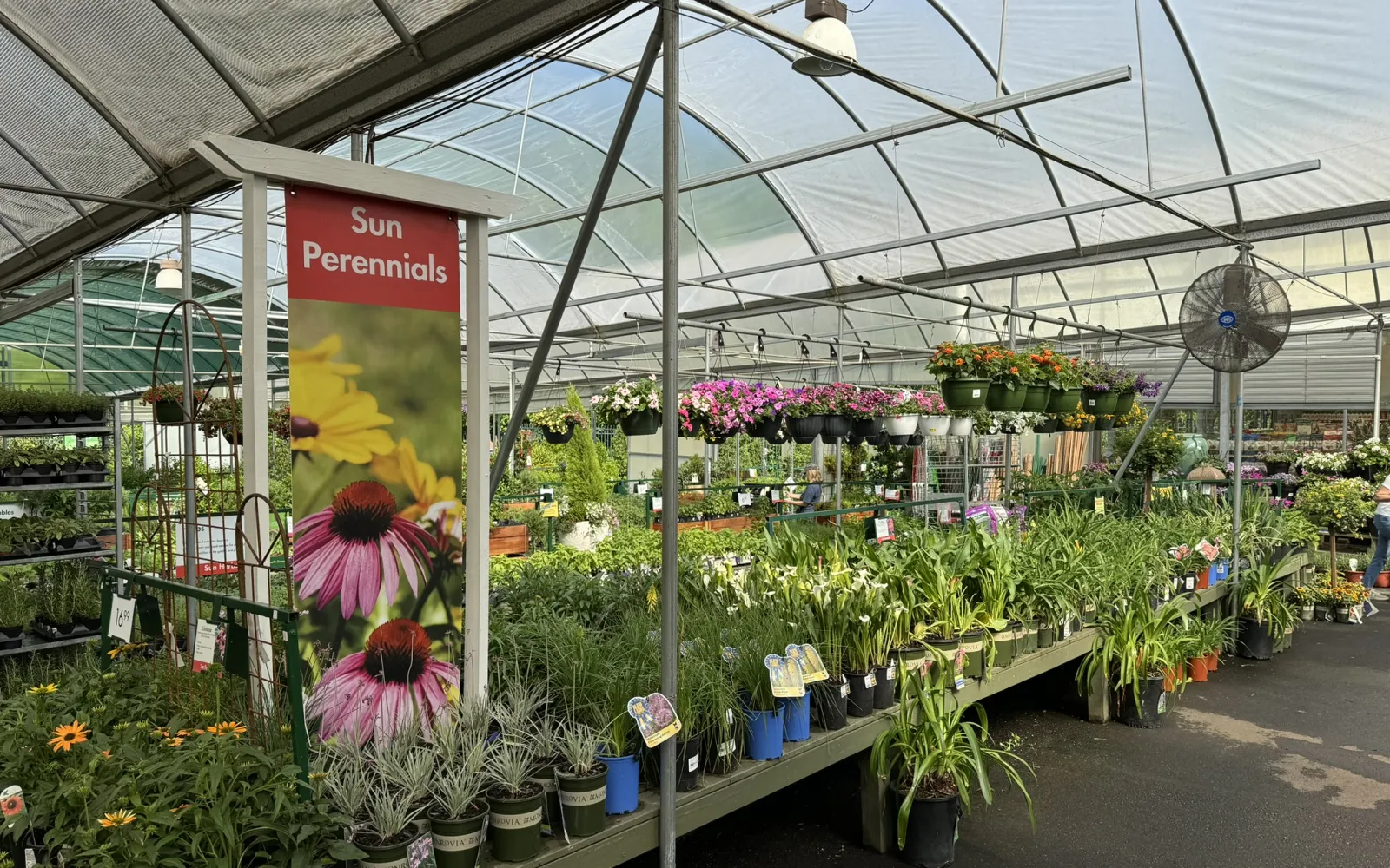 Pike Nurseries Garden Center & Landscape Design Buckhead, Atlanta, GA ...