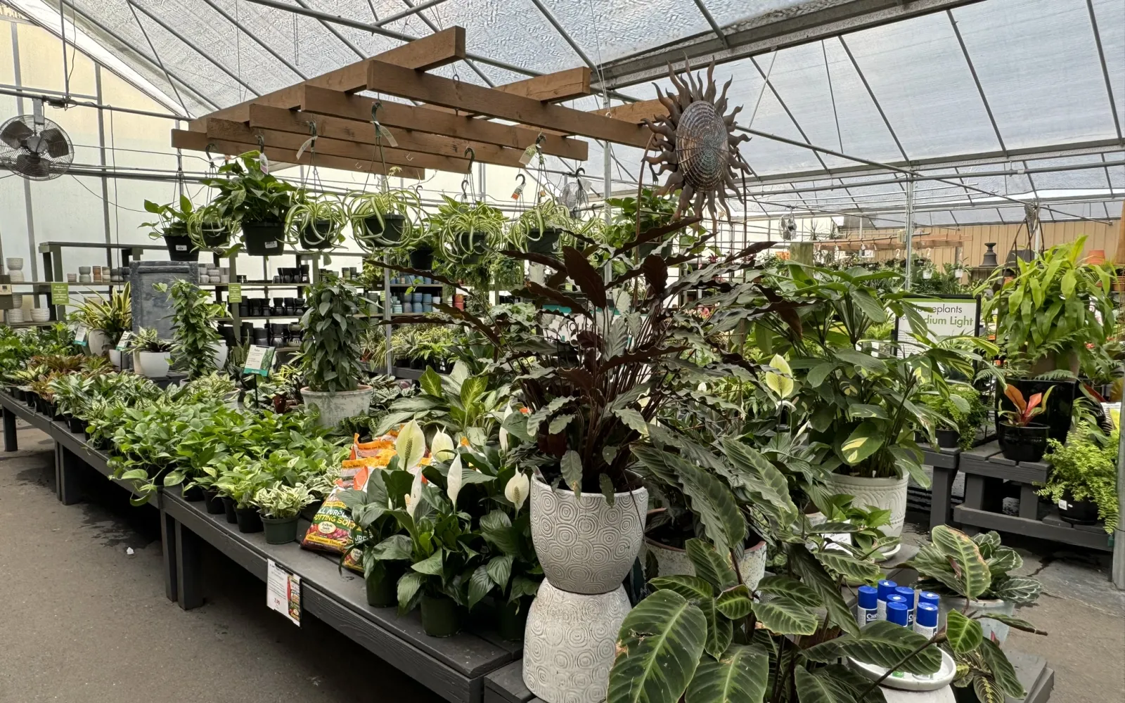 Pike Nurseries Garden Center & Landscape Design Suwanee, GA | Pike ...