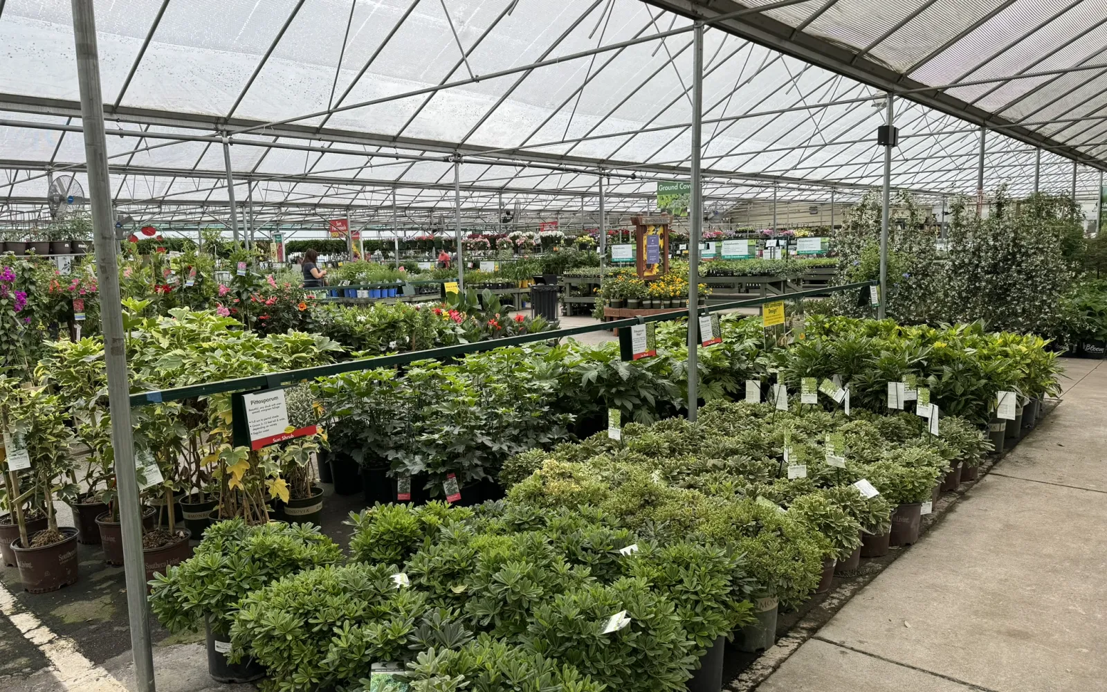 Pike Nurseries Garden Center & Landscape Design Toco Hills, Atlanta, GA ...