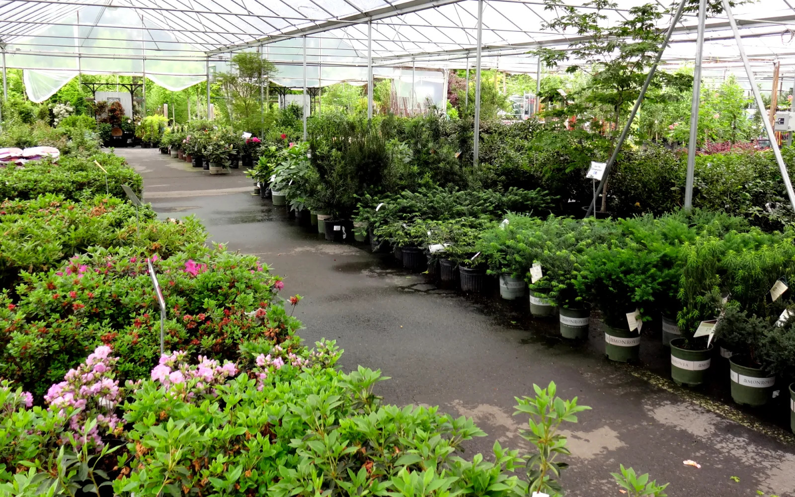 Pike Nurseries Garden Center & Landscape Design Towne Lake, Woodstock ...
