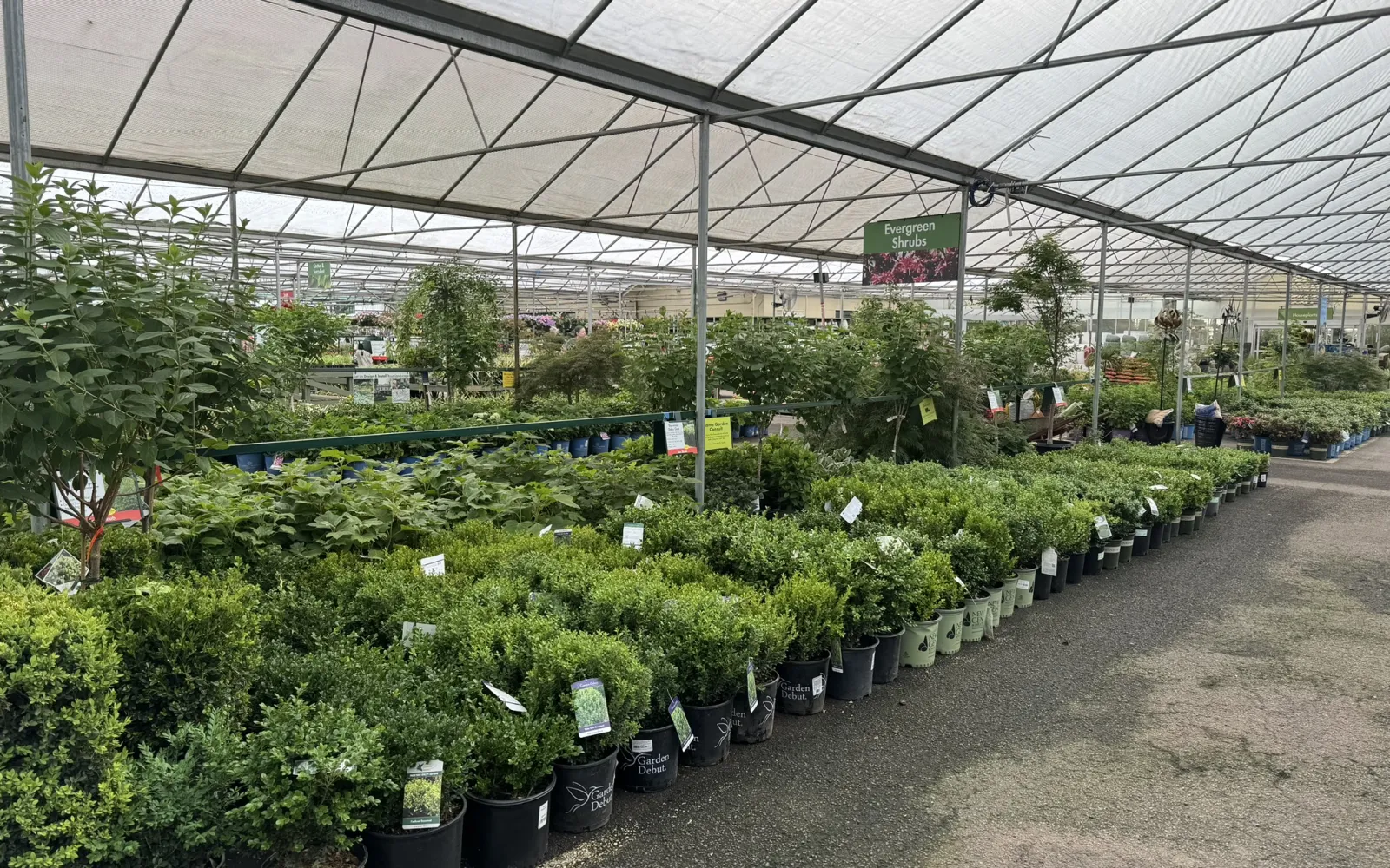 Pike Nurseries Garden Center & Landscape Design Toco Hills, Atlanta, GA ...