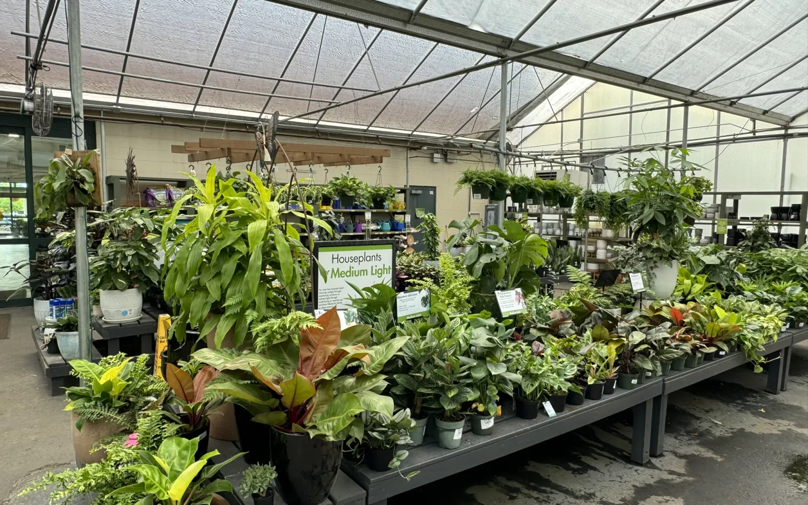 Pike Nurseries Garden Center & Landscape Design Suwanee, GA | Pike ...