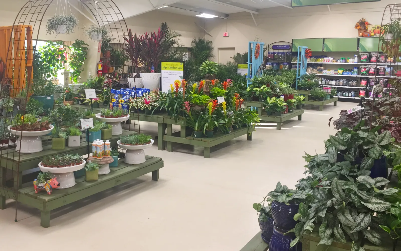 Pike Nurseries Garden Center & Landscape Design Marietta, GA | Pike ...