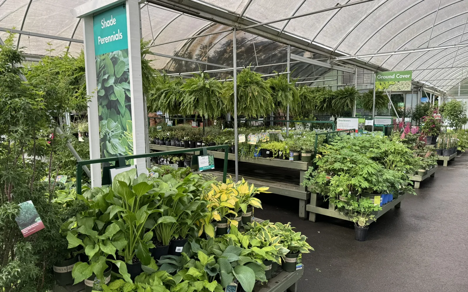 Pike Nurseries Garden Center & Landscape Design Buckhead, Atlanta, GA ...