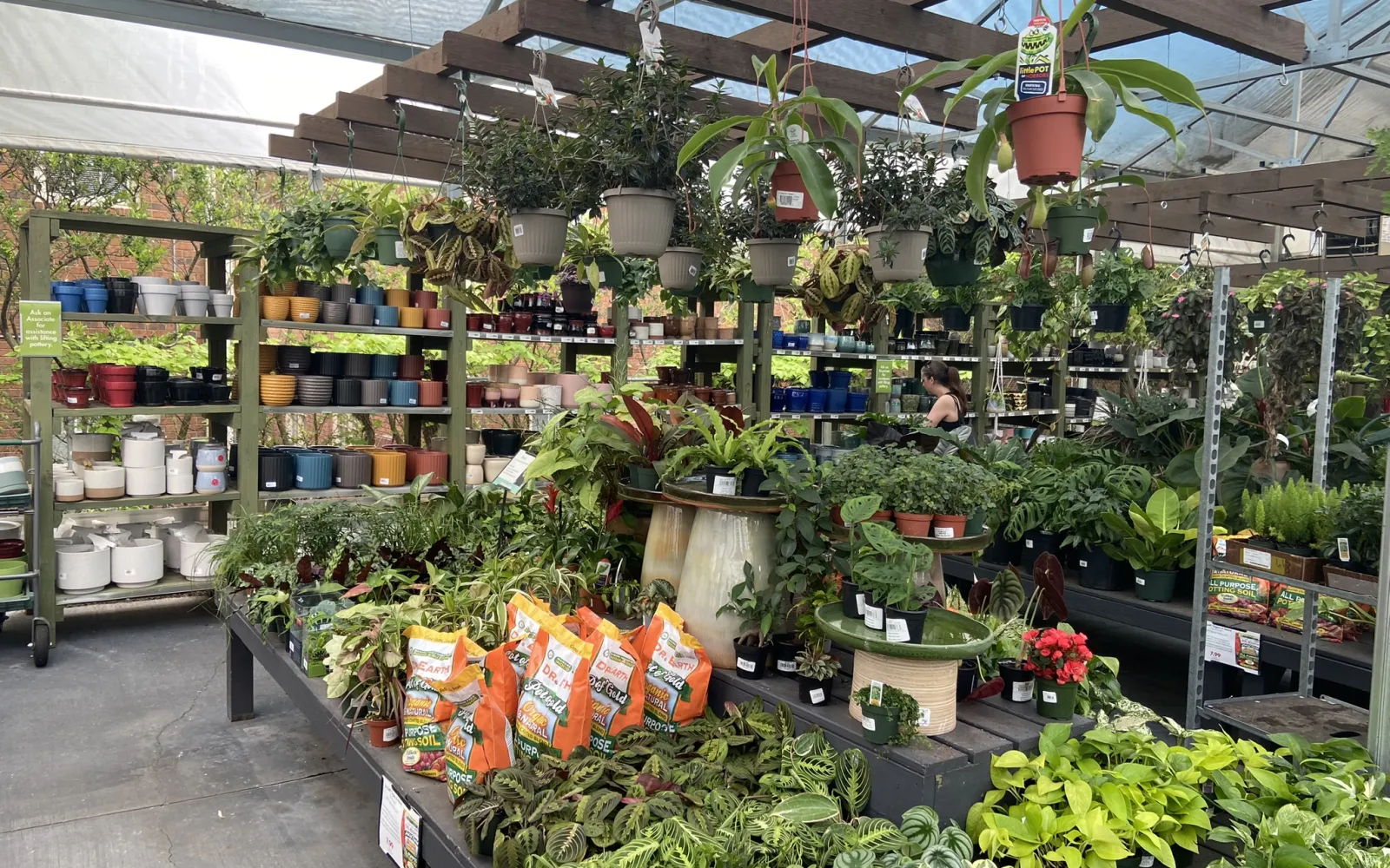 Pike Nurseries Garden Center & Landscape Design Marietta, GA | Pike ...