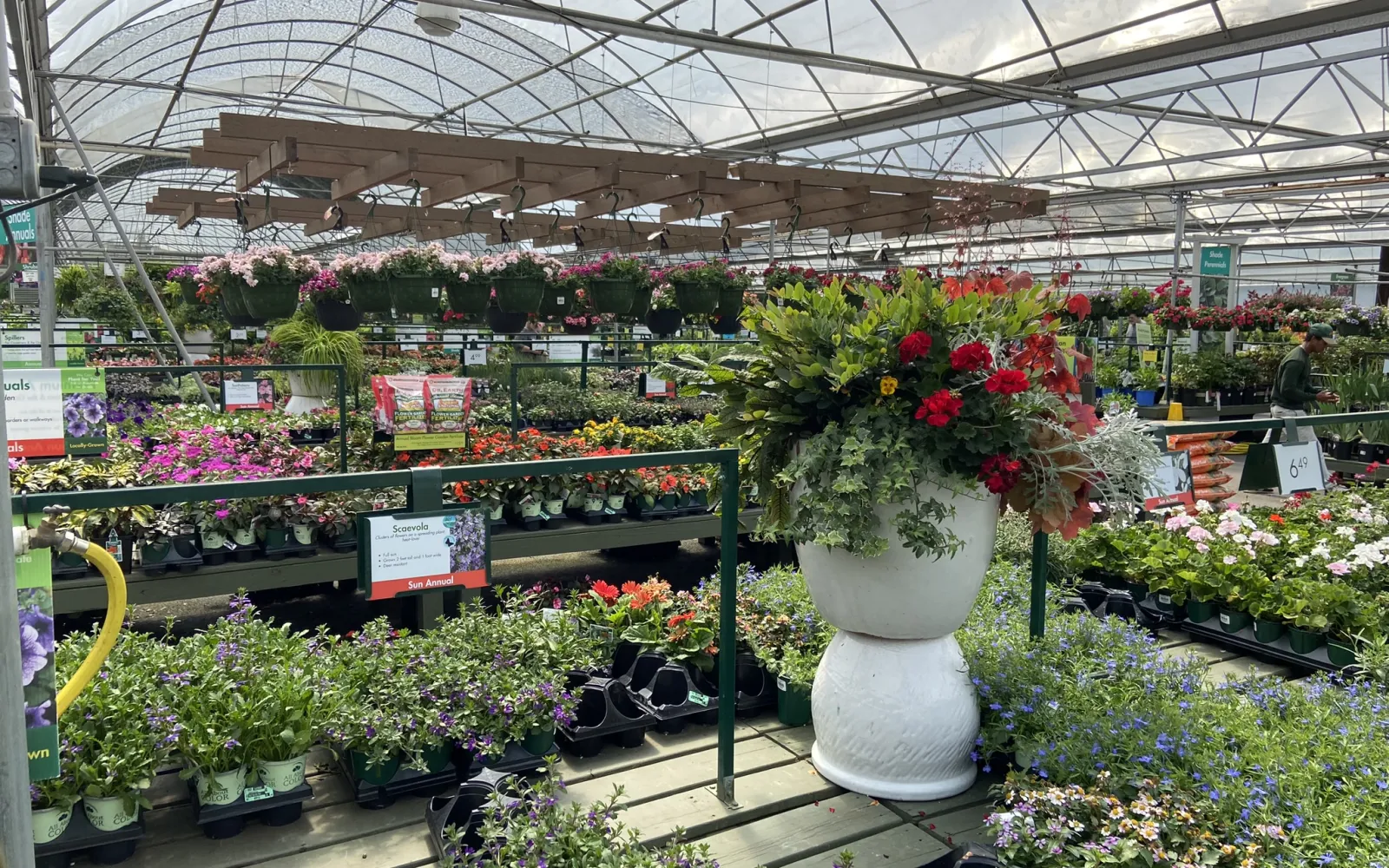 Pike Nurseries Garden Center & Landscape Design Marietta, GA | Pike ...