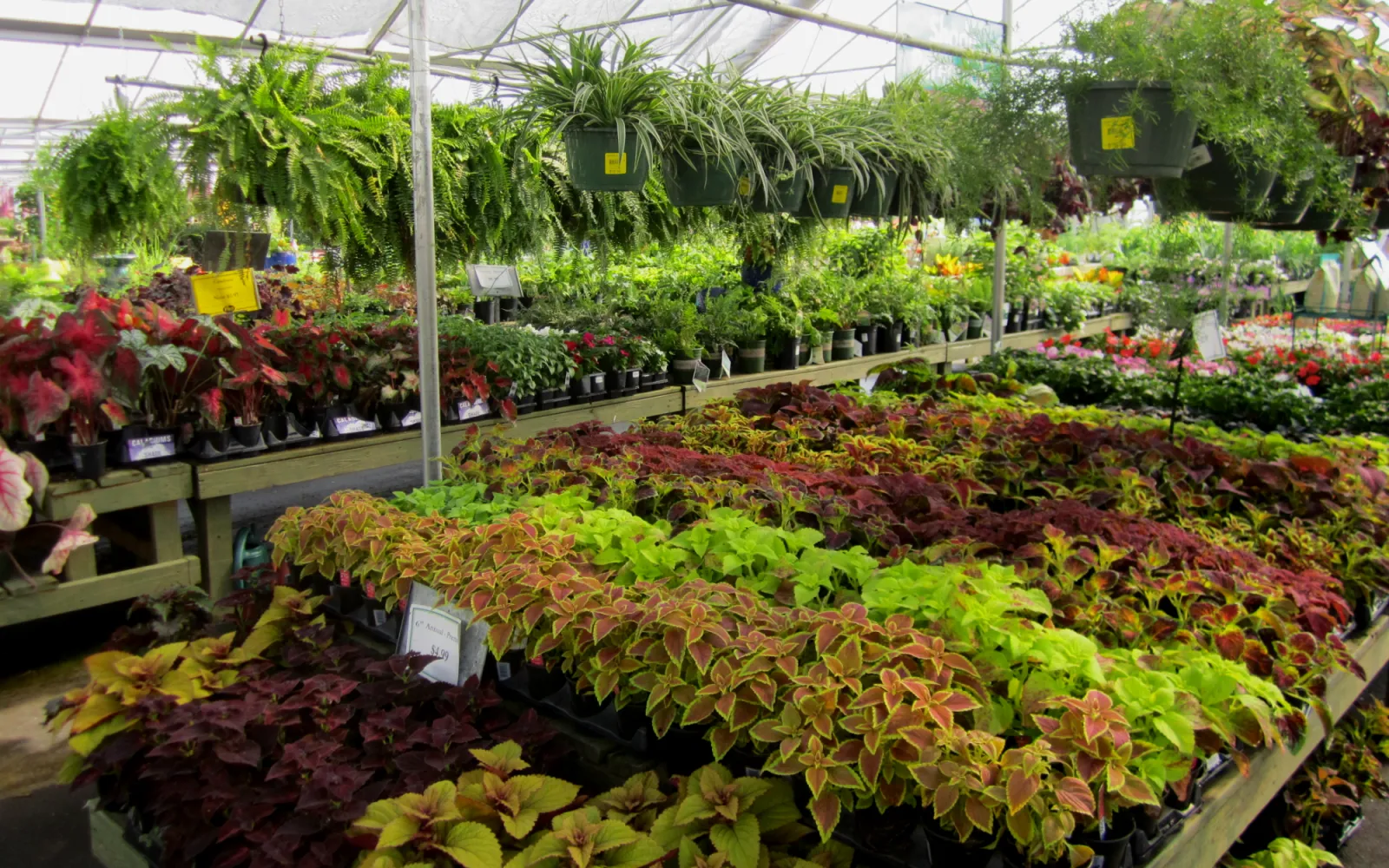 Pike Nurseries Garden Center & Landscape Design Towne Lake, Woodstock ...