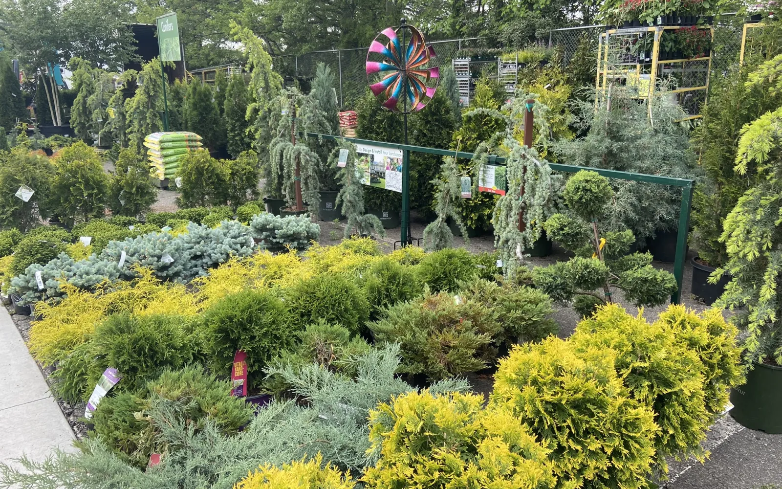 Pike Nurseries Garden Center & Landscape Design Marietta, GA | Pike ...