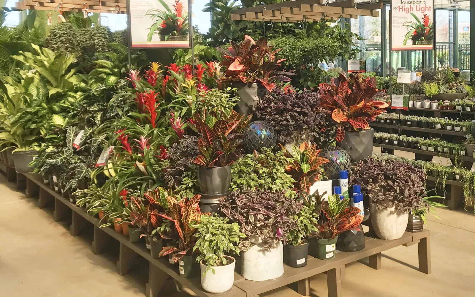 Pike Nurseries Garden Center & Landscape Design Highland Creek ...