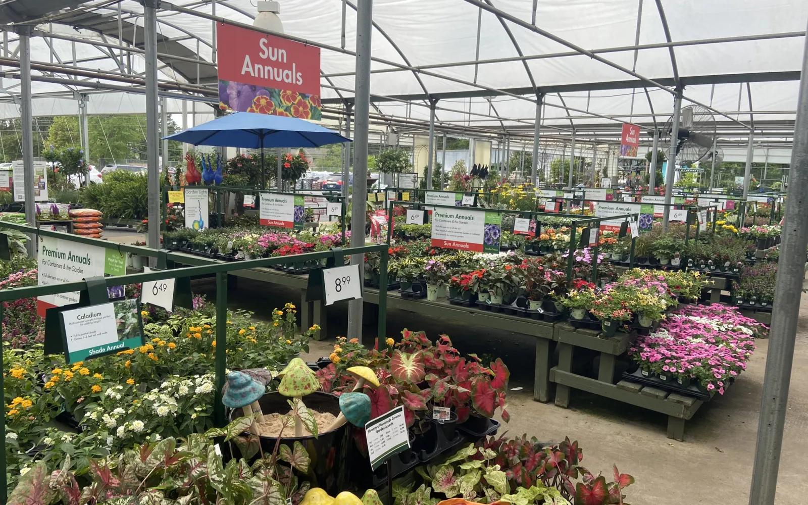 Pike Nurseries Garden Center & Landscape Design Marietta, GA | Pike ...