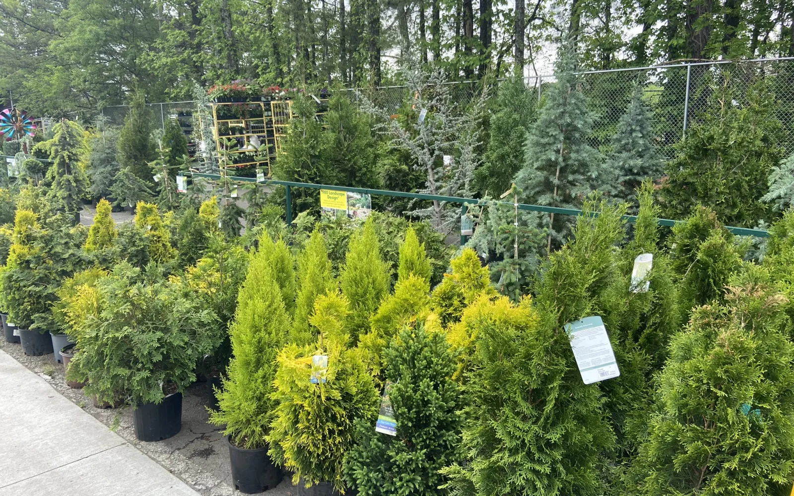 Pike Nurseries Garden Center & Landscape Design Marietta, GA | Pike ...