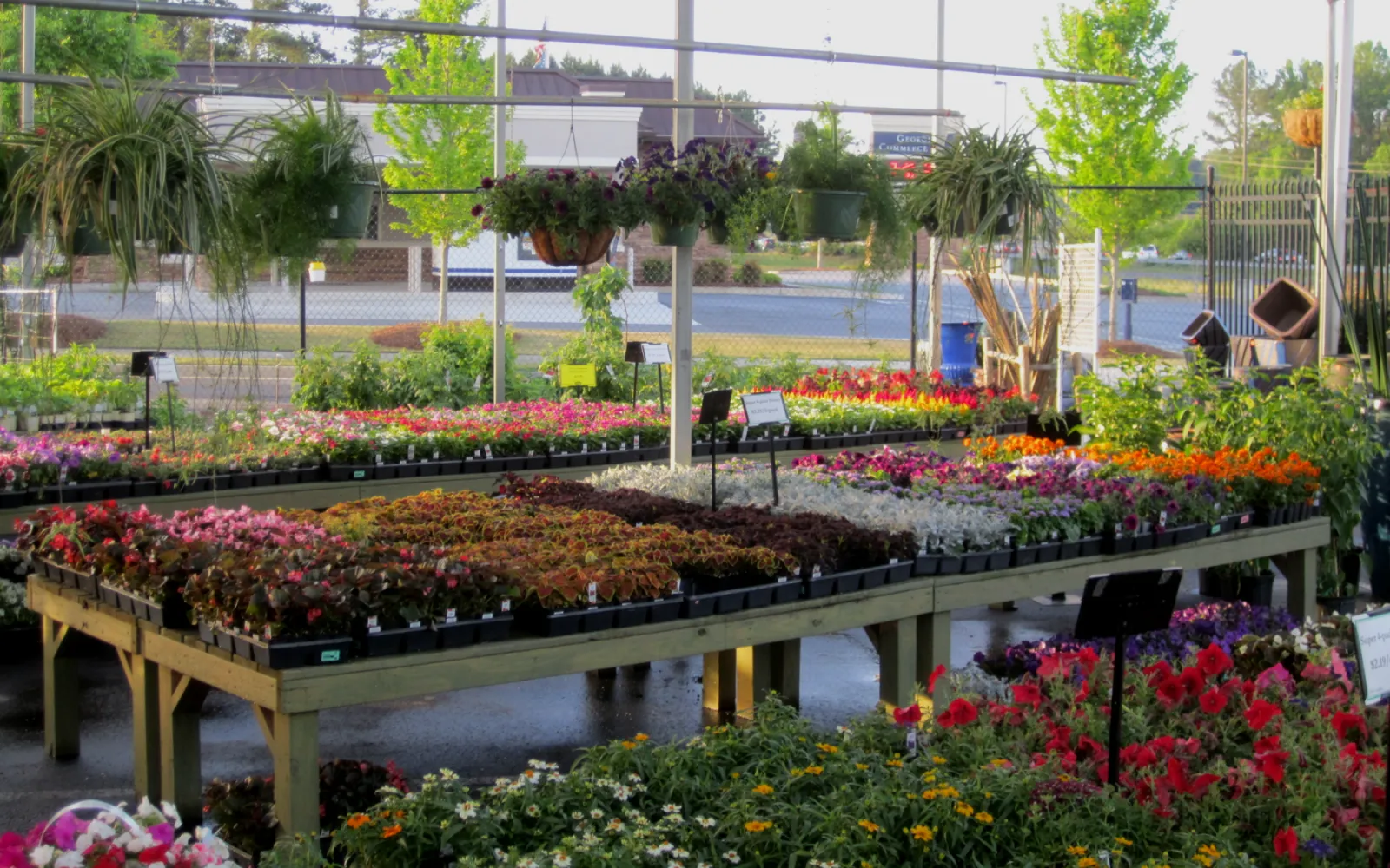 Pike Nurseries Garden Center & Landscape Design Towne Lake, Woodstock ...