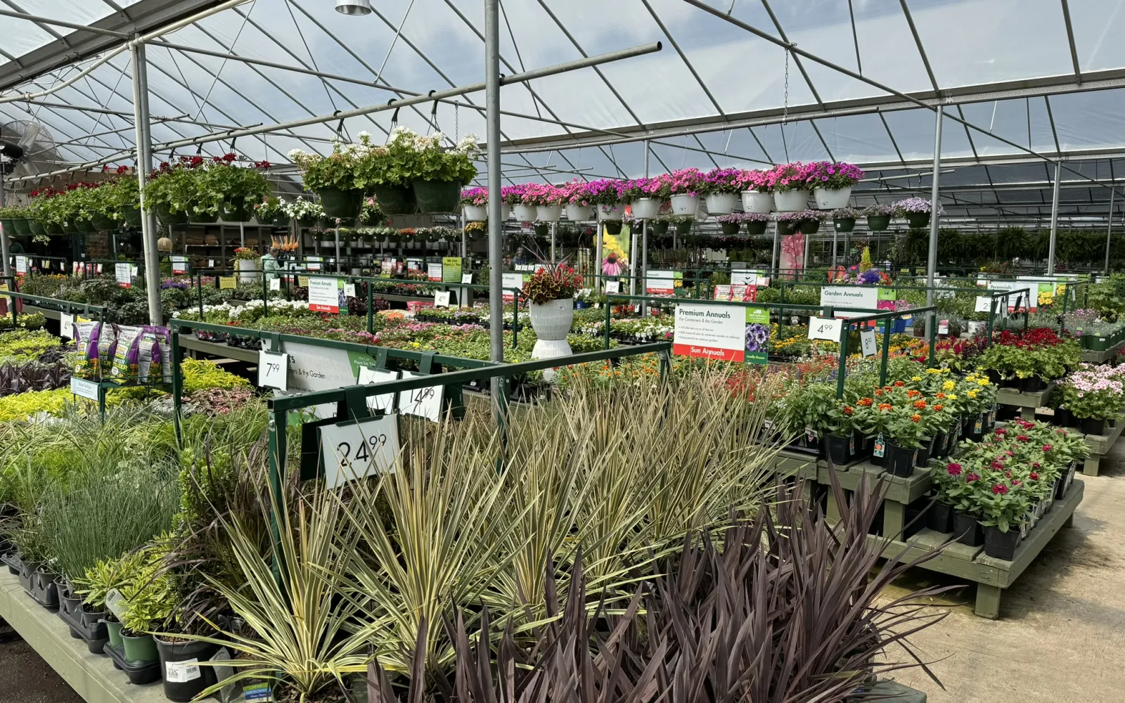 Pike Nurseries Garden Center & Landscape Design Suwanee, GA | Pike ...