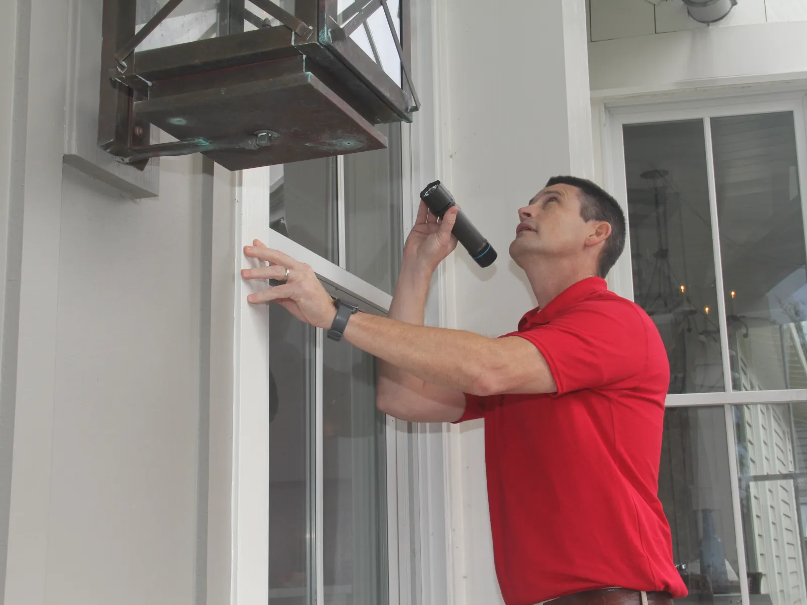 Science Behind Termite Protection | Palmetto Exterminators