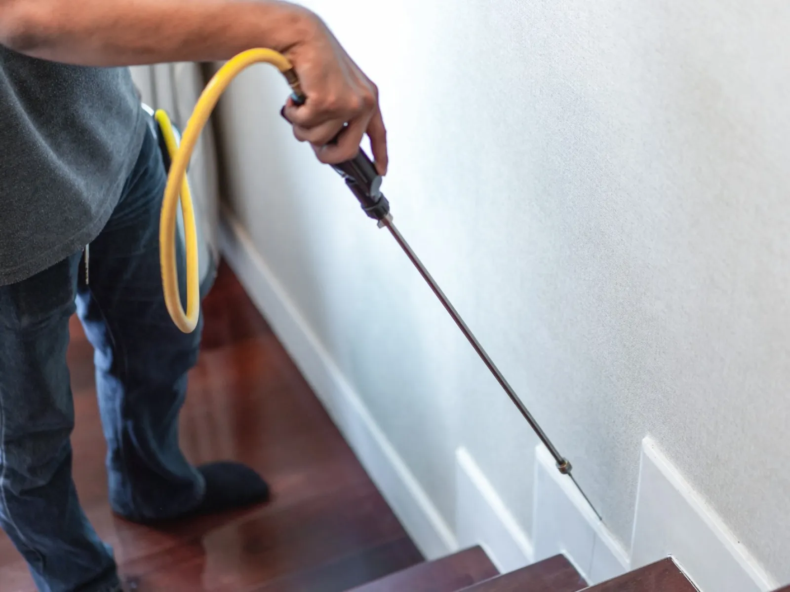 Choose a Local Pest Control Company | Mares Exterminating