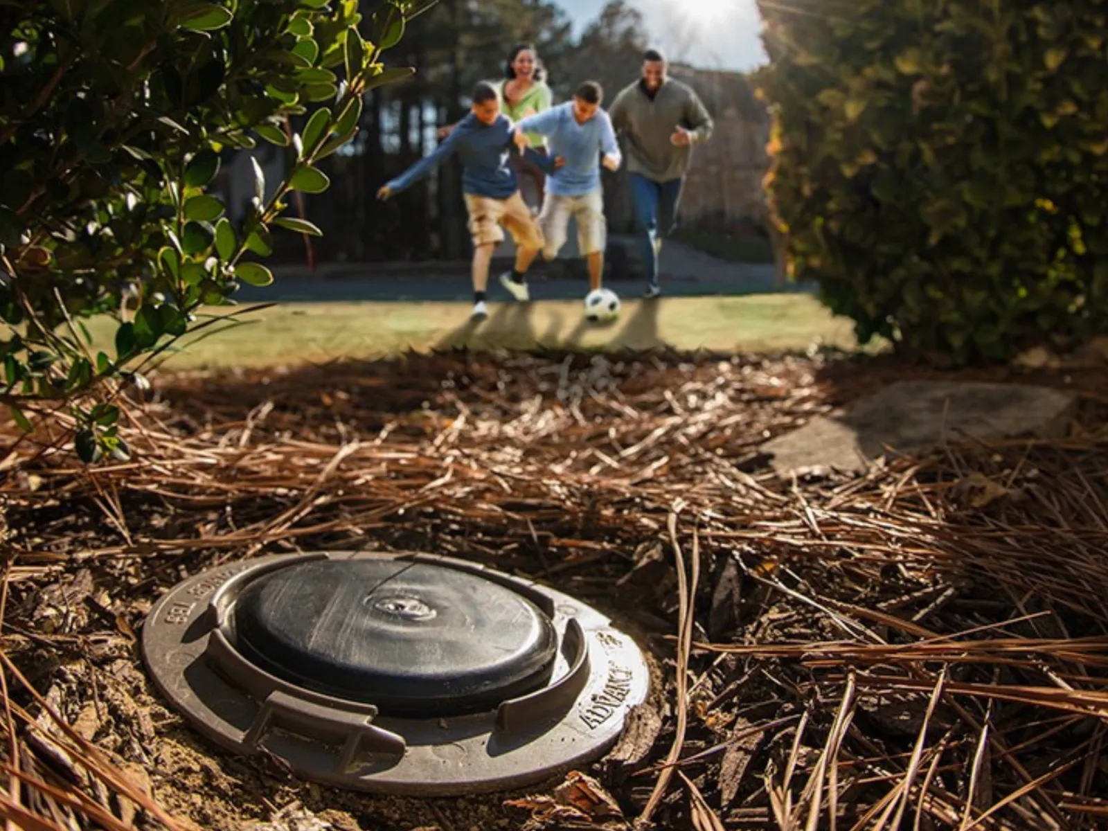 How Termite Baiting Stations Work | Preferred Pest Control