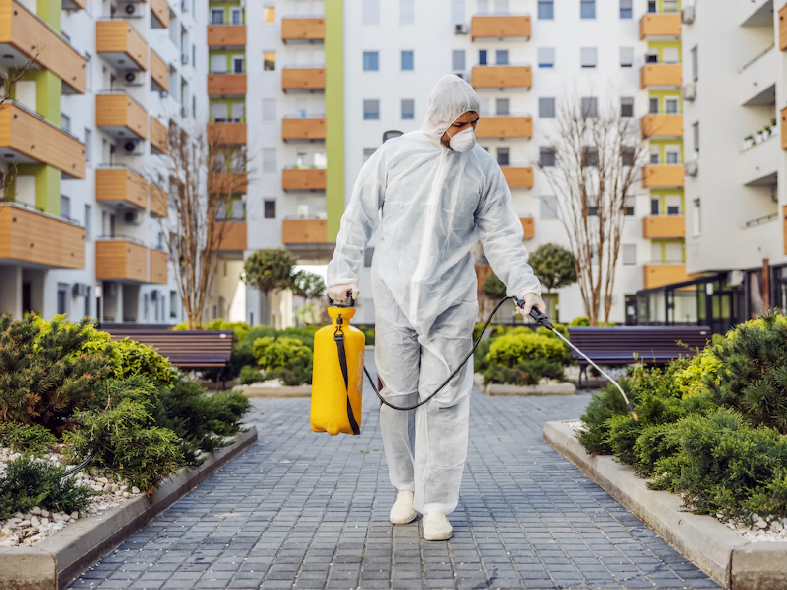Commercial Pest Control: Why It’s Important | Palmetto Exterminators
