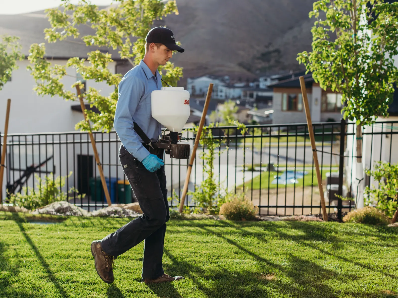 Pest Control Lubbock, TX | Prime Pest & Lawn