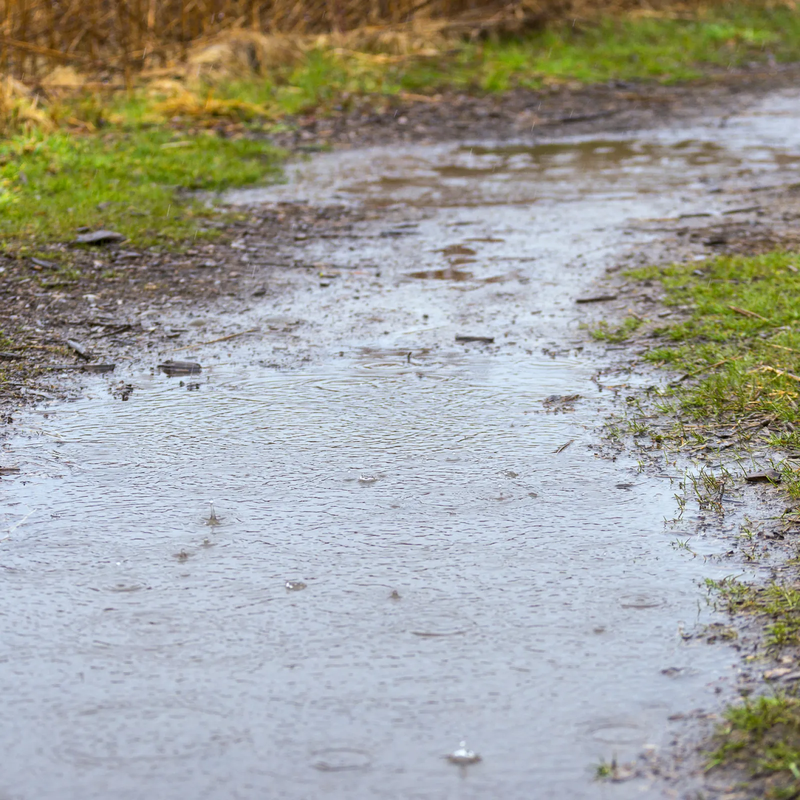 Ground Saturation | Advanced Drainage Solutions