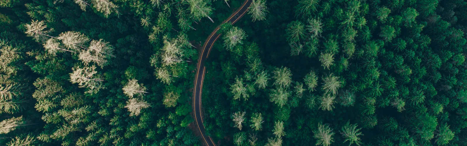 Regulatory and Legal Disclosures | Performance Trust