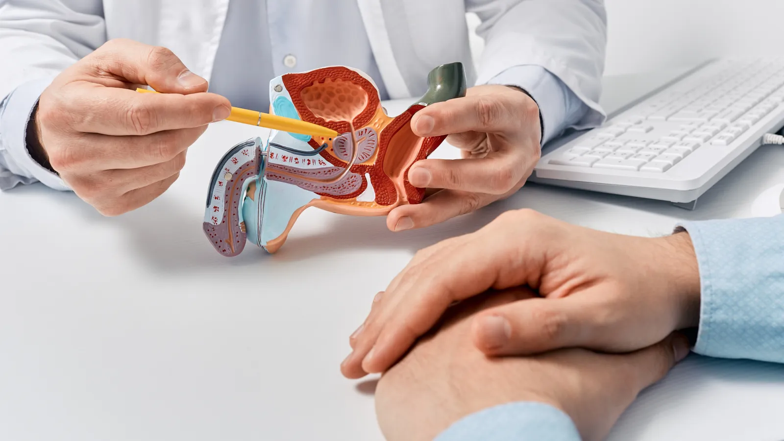 Top Orchiectomy Specialists In Atlanta Ga Advanced Urology