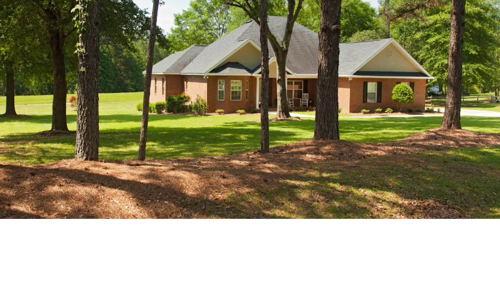 Winchester Va Pest Control Pestnow Pestnow