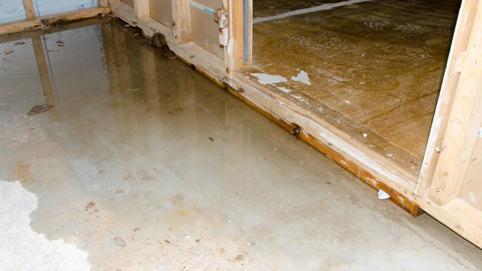 Termite Control | Mares Exterminating