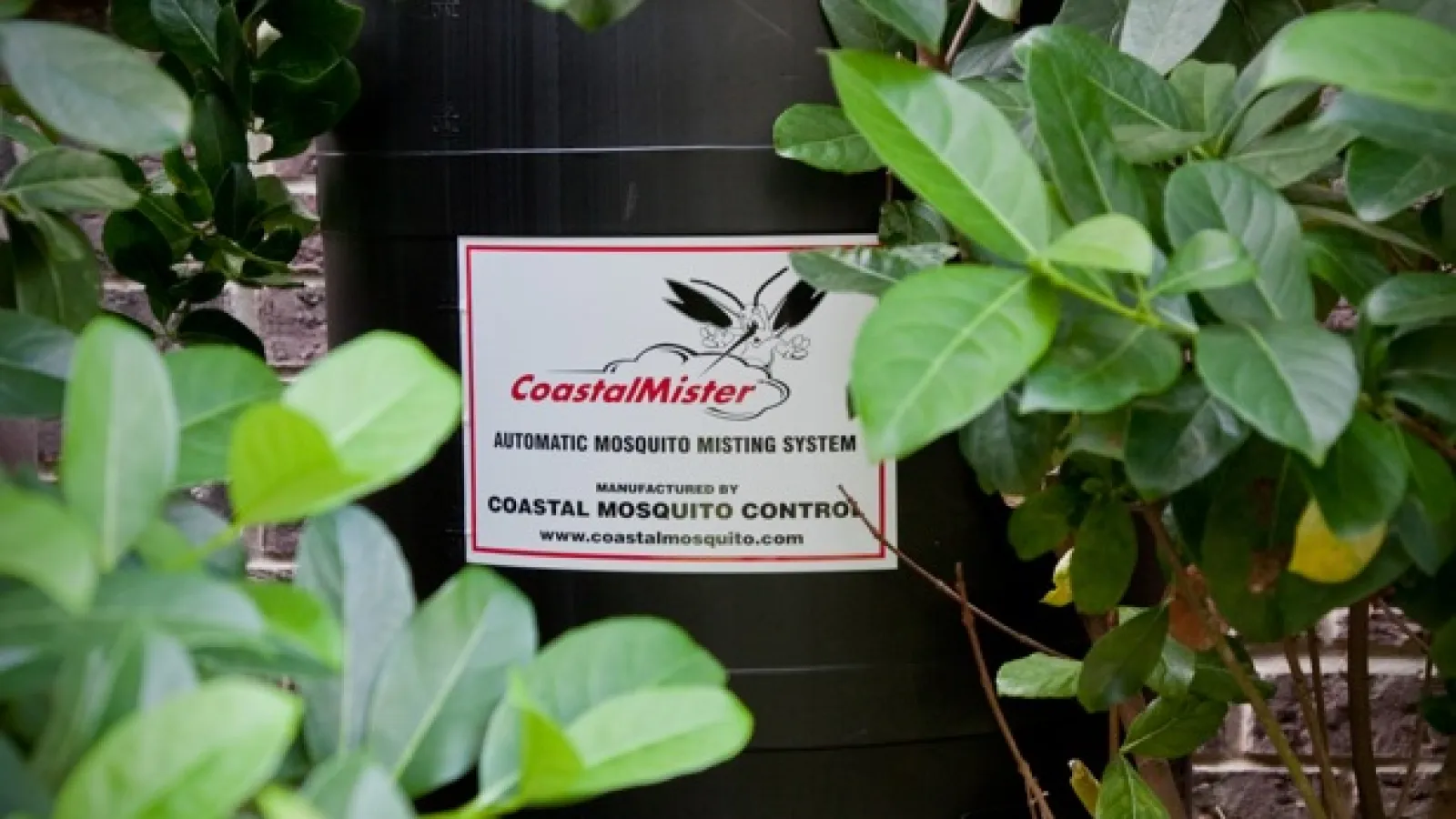 Mosquito Misting Systems | Palmetto Exterminators