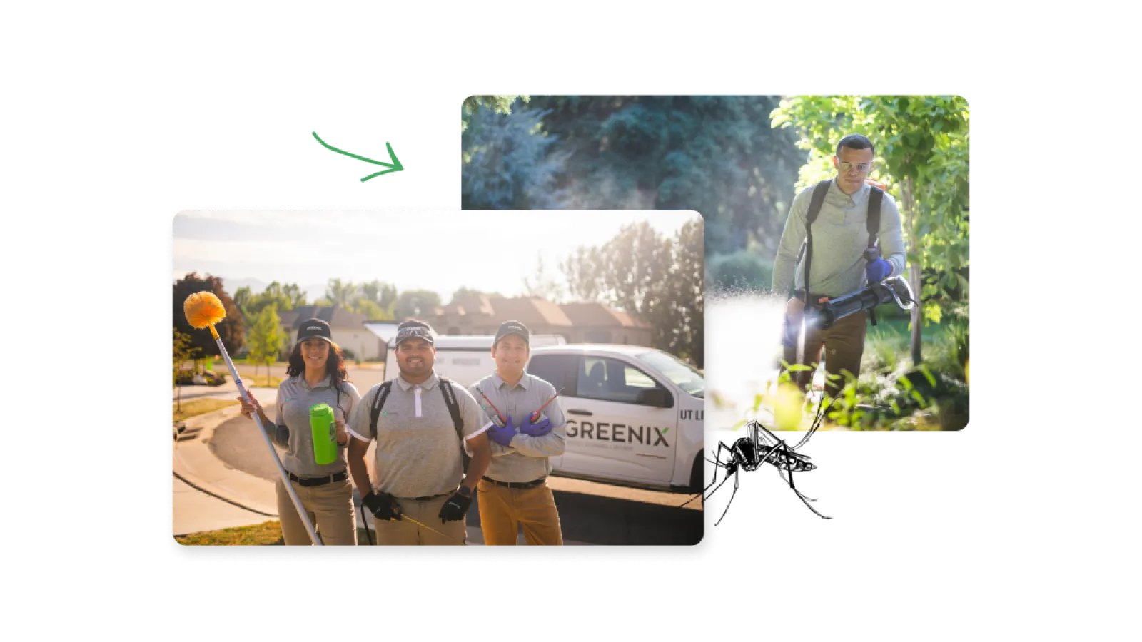 Customer Welcome | Greenix Pest Control